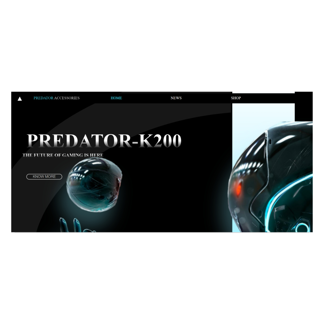 A M Sanjeev - Projects